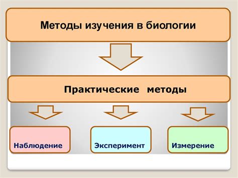Методы изучения в биологии презентация онлайн
