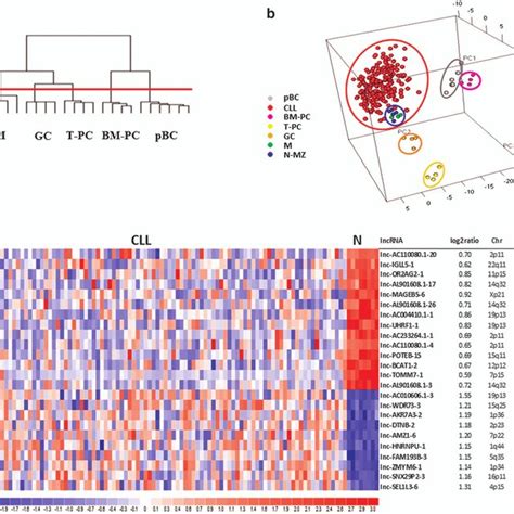 Lncrna Expression Profile Of Cll And Normal B Cells Samples A