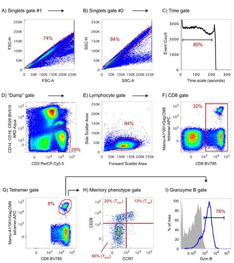 Gating Strategy And Representative Results Of A Successful Pmhc I
