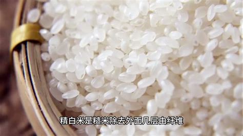 健康饮食，从一碗素时刻五谷膳食粉开始 Youtube