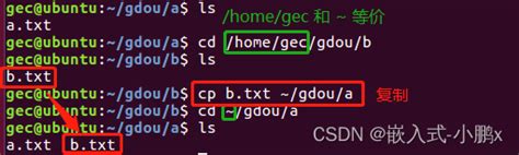 Linux学习之1——基本命令篇（超级友好，配教程） Csdn博客
