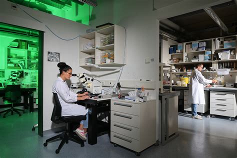 The Role Of Nuclear Magnetic Resonance Lab In Advancing Sustainability