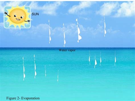 The Water Cycle Ppt Ppt