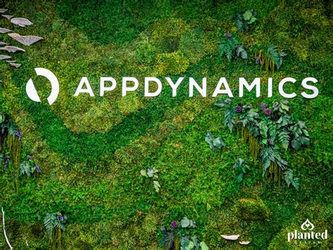 Gallery AppDynamics Planted Design Gallery AppDynamics Planted Design