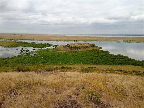 Experiencing The Amboseli National Park Of Kenya Voyage Veritas