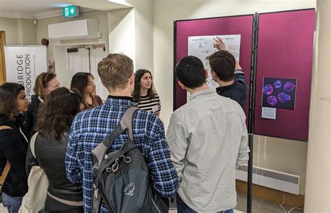 Understanding Public Attitudes Towards The Use Of Ai In Policing Sciencewise