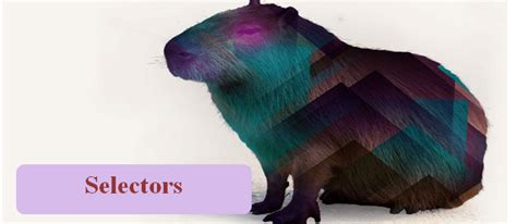 Understanding Selectors Vskills Tutorial