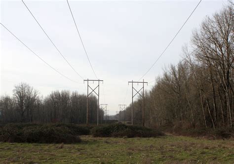 Utility Corridors Free Association Design