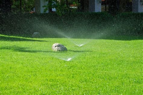 What Is The Best Time To Water Grass Seed Crabgrasslawn