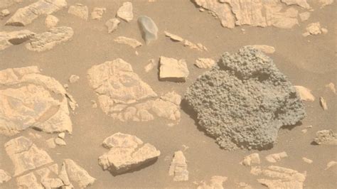 Rover Da Nasa Encontra Rocha Enigmática Com Bolinhas Em Marte Canaltech