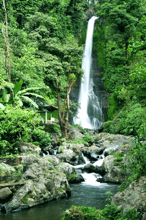 Gitgit Waterfall