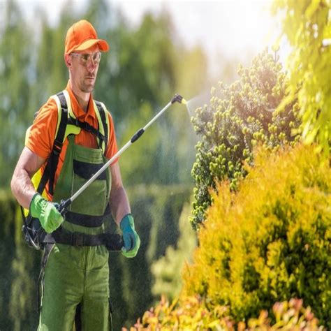 Garden Pest Control Services At Best Price In Gurugram Id 2854339987112