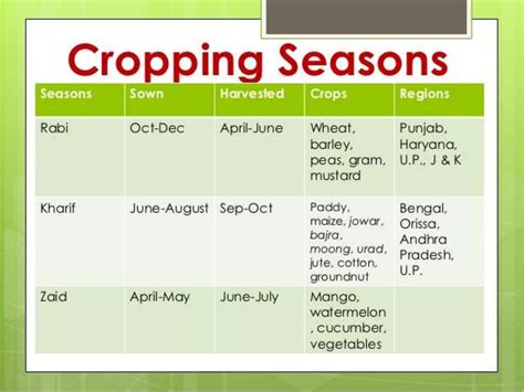 Types Of Crops And Productivity In India PPT