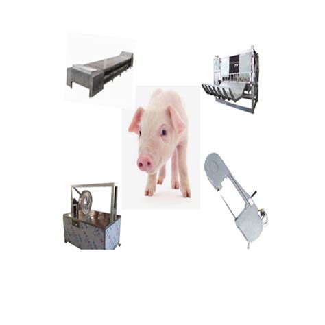 Professional Use for Pig Killing Machine/Butcher Equipment/Pig Slaughterhouse Equipment Made in ...