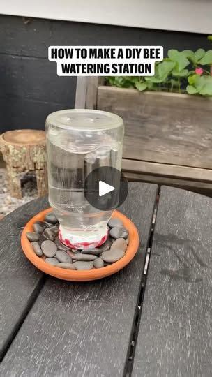 901k Views · 15k Reactions How To Make A Diy Bee Water Station By