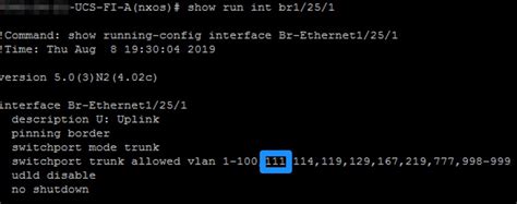Solved Ucs Vlan Help Cisco Community