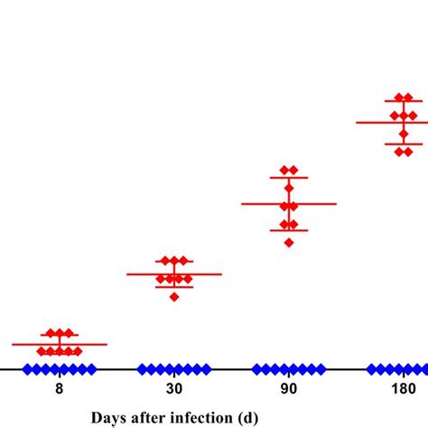 Total Score Of Liver Tissue In Mice Infected With Echinococcus