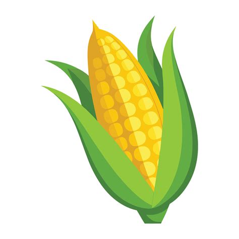 Detailed Corn Graphic Illustration White Background 50575695 Vector Art At Vecteezy