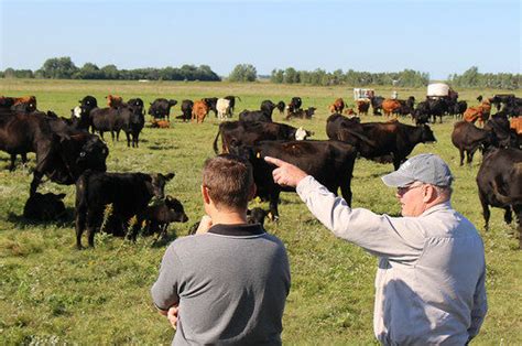 Innovation And Conservation Commitment Shapes Strip Tiller S Farm