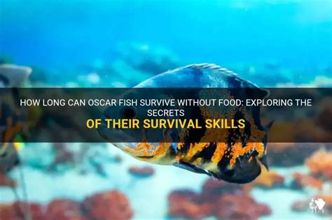 How Long Can Oscar Fish Survive Without Food Exploring The Secrets Of