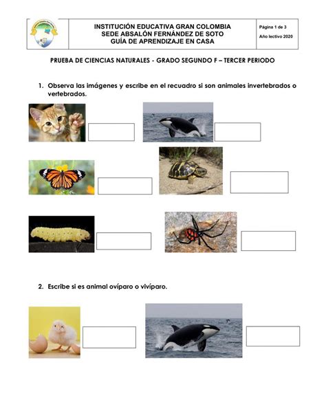 Seres Vivos Y Estados De La Materia Worksheet Live Worksheets