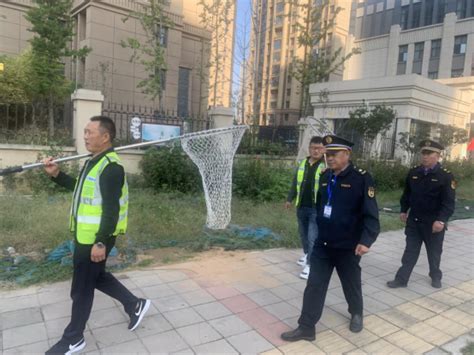 金光路办事处开展文明养犬联合执法行动 大河新闻