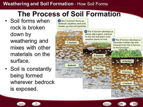 How Soil Is Formed From Rocks Soil Formation Pedogene