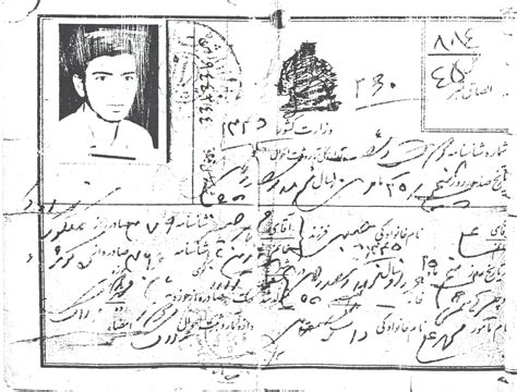 علی حبیبی شهود