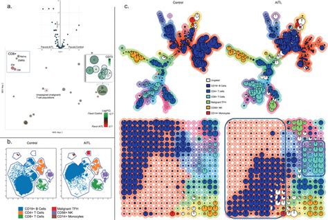 Aitl Tumor Microenvironment Features Cd8 Expansion Global Shift In B