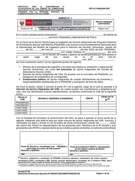 Formato De Cae 2023 Pdf Privacidad De La Información