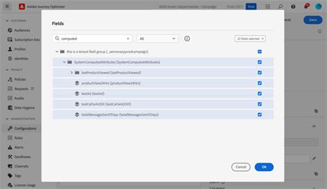 Work With Computed Attributes Adobe Journey Optimizer