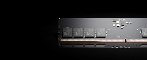 Timetec Premium Ddr5 Udimm Desktop Memory