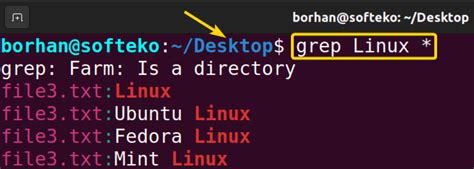 The “grep” Command In Linux 10 Practical Examples
