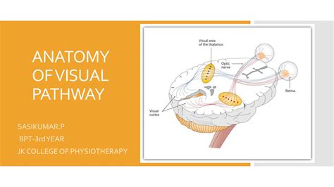 ANATOMY AND PHYSIOLOGY OF VISUAL PATHWAY PPTX