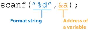 Unraveling The Scanf Function C For Dummies Blog