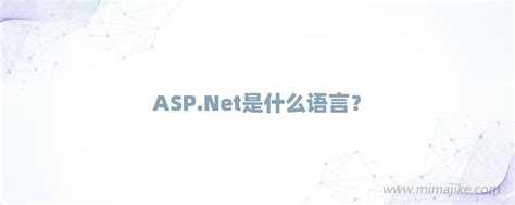 ASP Net是什么语言 密码极客