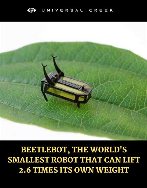 Beetlebot The World S Smallest Robot Small World Scientific