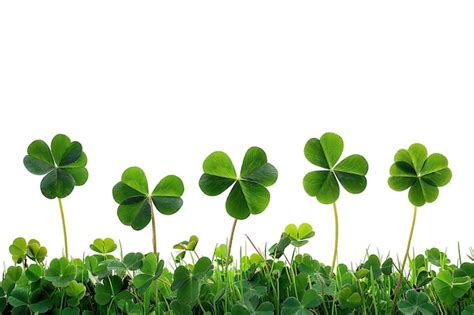 Premium Photo A Clover That Has Leaves In The Shape Of A Leaf Clover