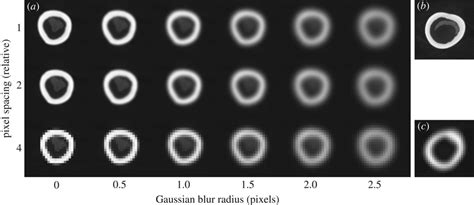 Interaction Between Specimen Size Image Resolution And Pixel Spacing