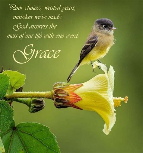Pin By Carolyn Copeland On A Servants Heart Bible Prayers God S Grace Life
