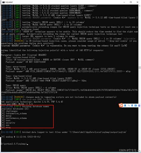 sqlmap基础sql lib过关 sqllib CSDN博客