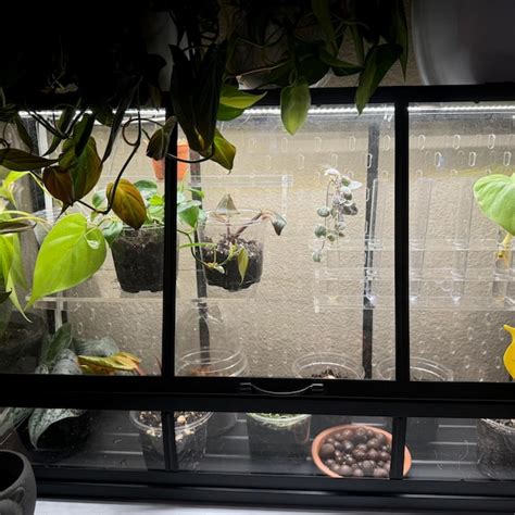 Akerbar Desktop Greenhouse 25in Pegboards And Skadis Accessories For