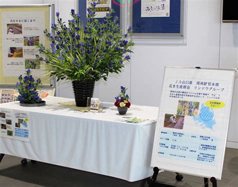 【周南】周南産リンドウで、徳山駅利用者に「涼と癒し」を Ja山口県