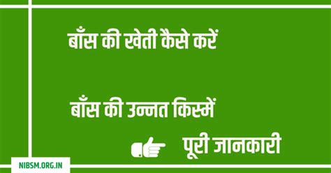 बाँस की खेती कैसे करें Bamboo Farming In Hindi बांस की कीमत