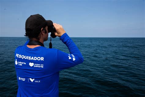 Niterói receberá nova edição do projeto de observação da Baleia Jubarte