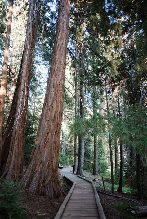 New Hiking Trails We Hiked In 2023 For The Love Of Wanderlust