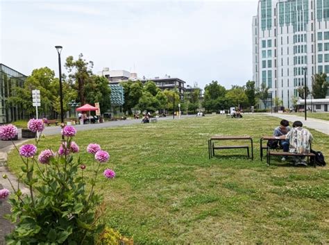 市 創設五代友厚 ｢五代友厚像｣碑文石のqrコードを更新 ⇒ スマホで五代情報を！ 大阪市立大学全学部同窓会