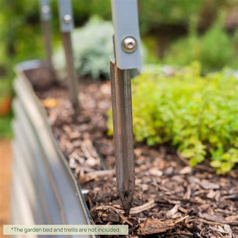 Vego Trellis Anchors Plant Addicts