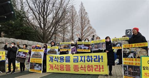 동물단체 약속대로 개 식용 금지법 국회서 통과시켜야