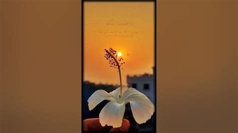 Islamic Video Youtubeshorts Youtube Ytshorts Mirhaazhar U3w Youtube